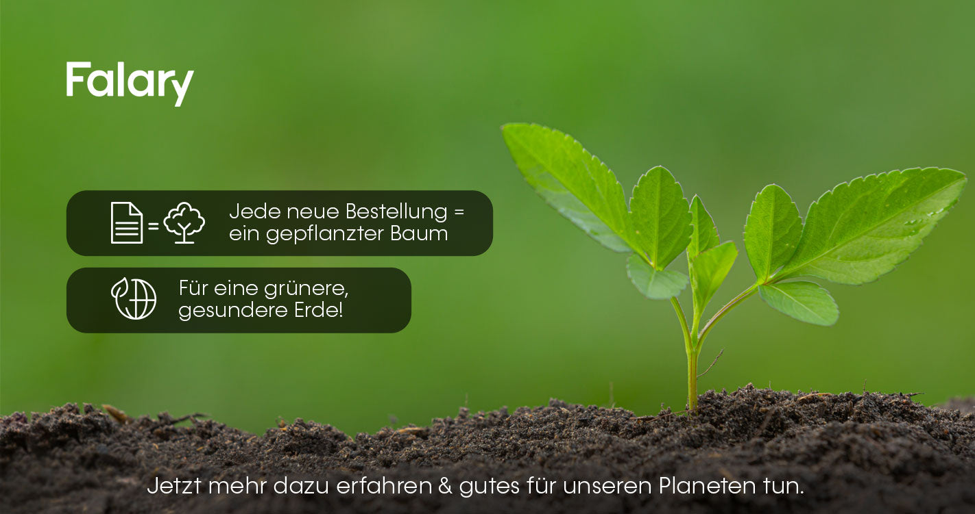 Falary - Better Basics Qualitative Socken und Basics zu fairen Preisen ...